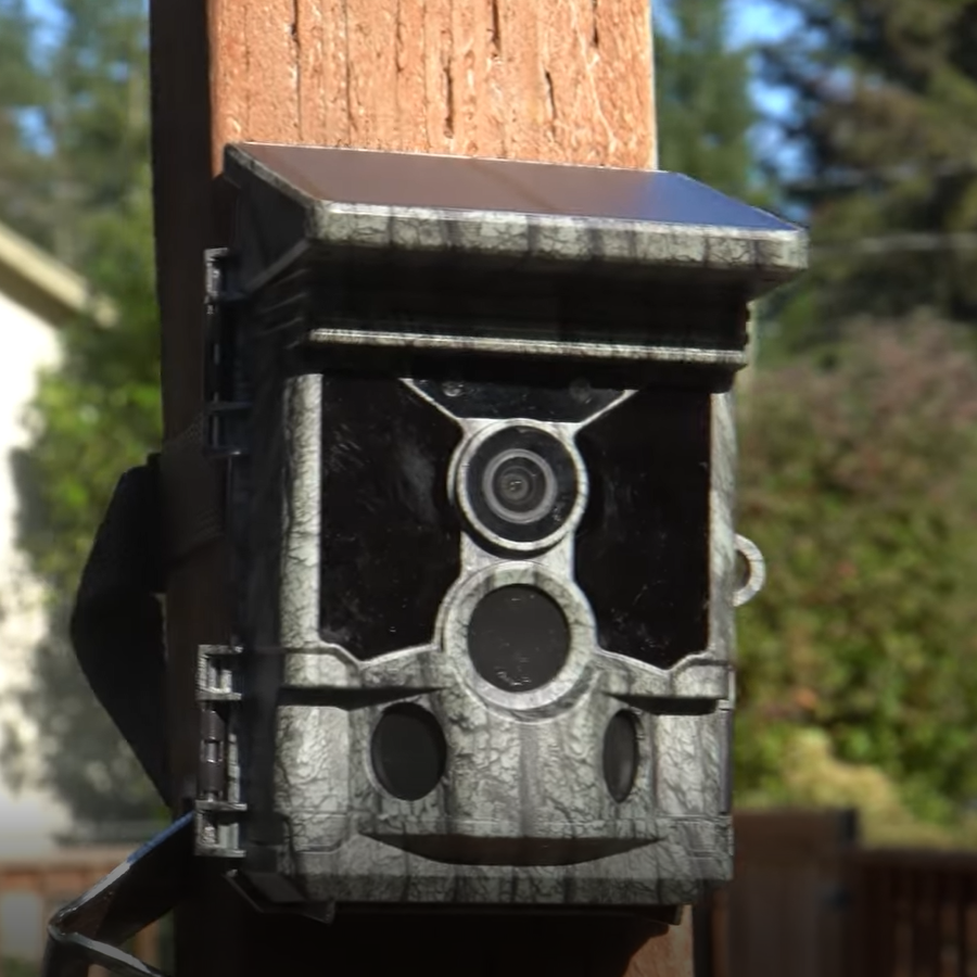 Campark TC08 Hunting Camera Review and Setup Guide – Campark - Focus on ...