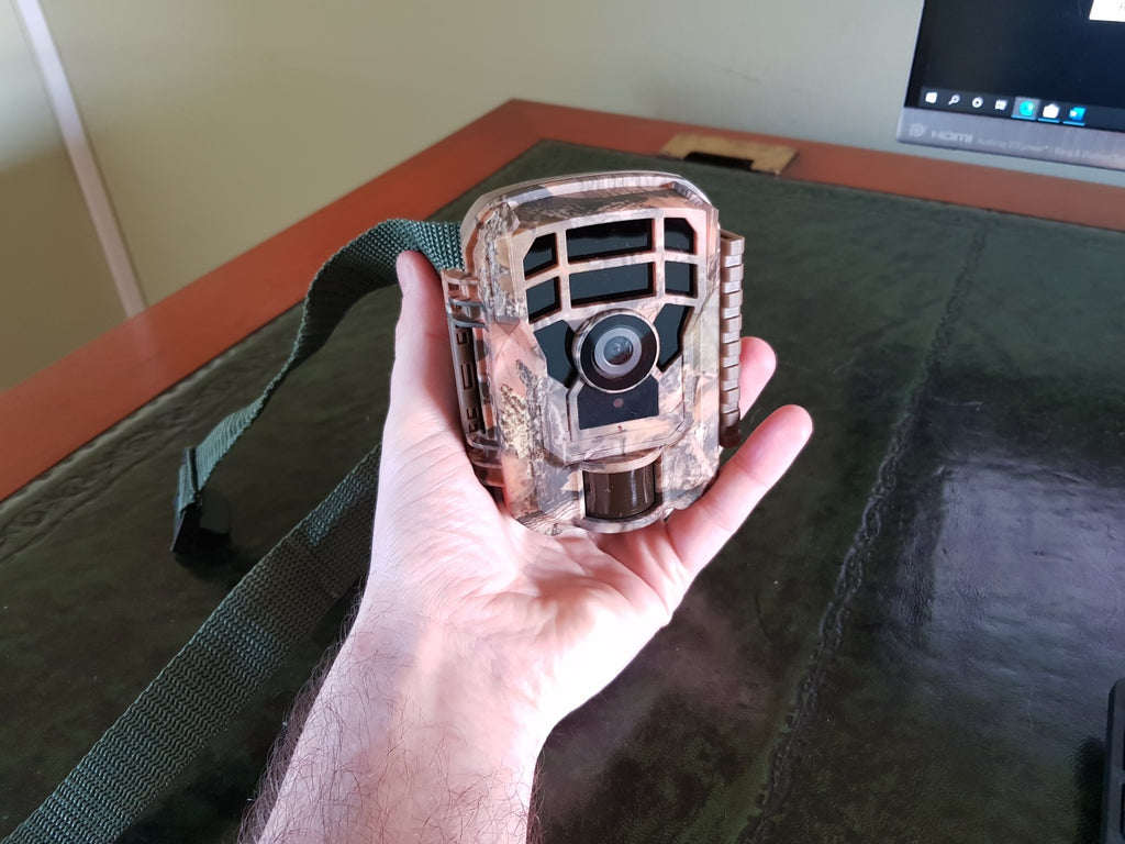 Best Mini Wildlife Camera To Buy For Your Garden – Campark - Focus on ...
