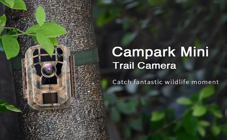 Campark T21 Mini Trail Camera For Wildlife Passionate Photographers ...