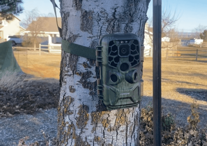 Campark T90 Trail Cameras: a snapshot of what you need to know ...