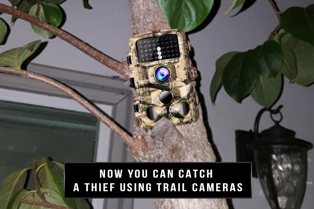 To Catch a Thief - Use a Security Trail Camera – Campark - Focus on Cameras