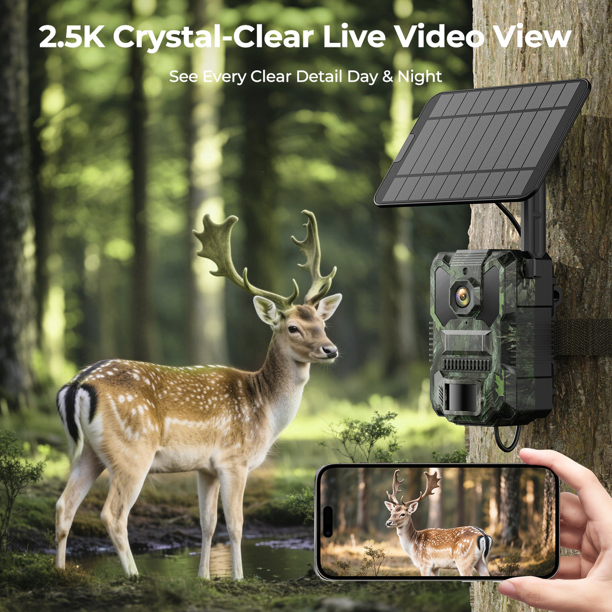 Campark TC36 Trail Camera, Live Feed Cellular Trail Cameras with 940nm ...