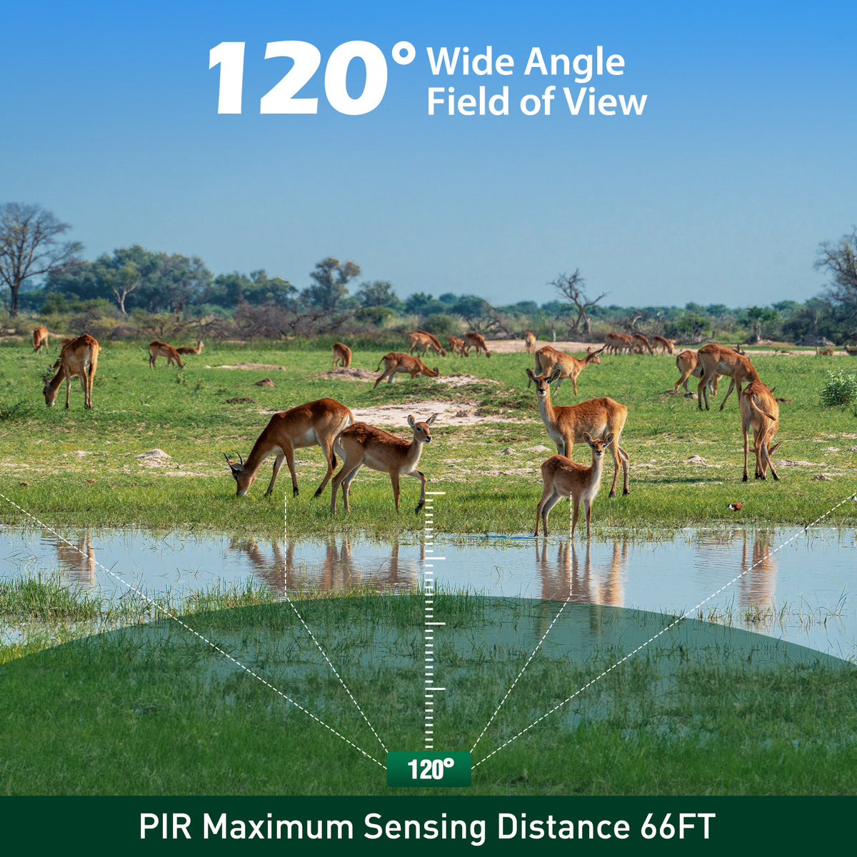 Campark TC24 4K 40MP Trail Camera with 2.0'' LCD and Time Lapse for Wi ...