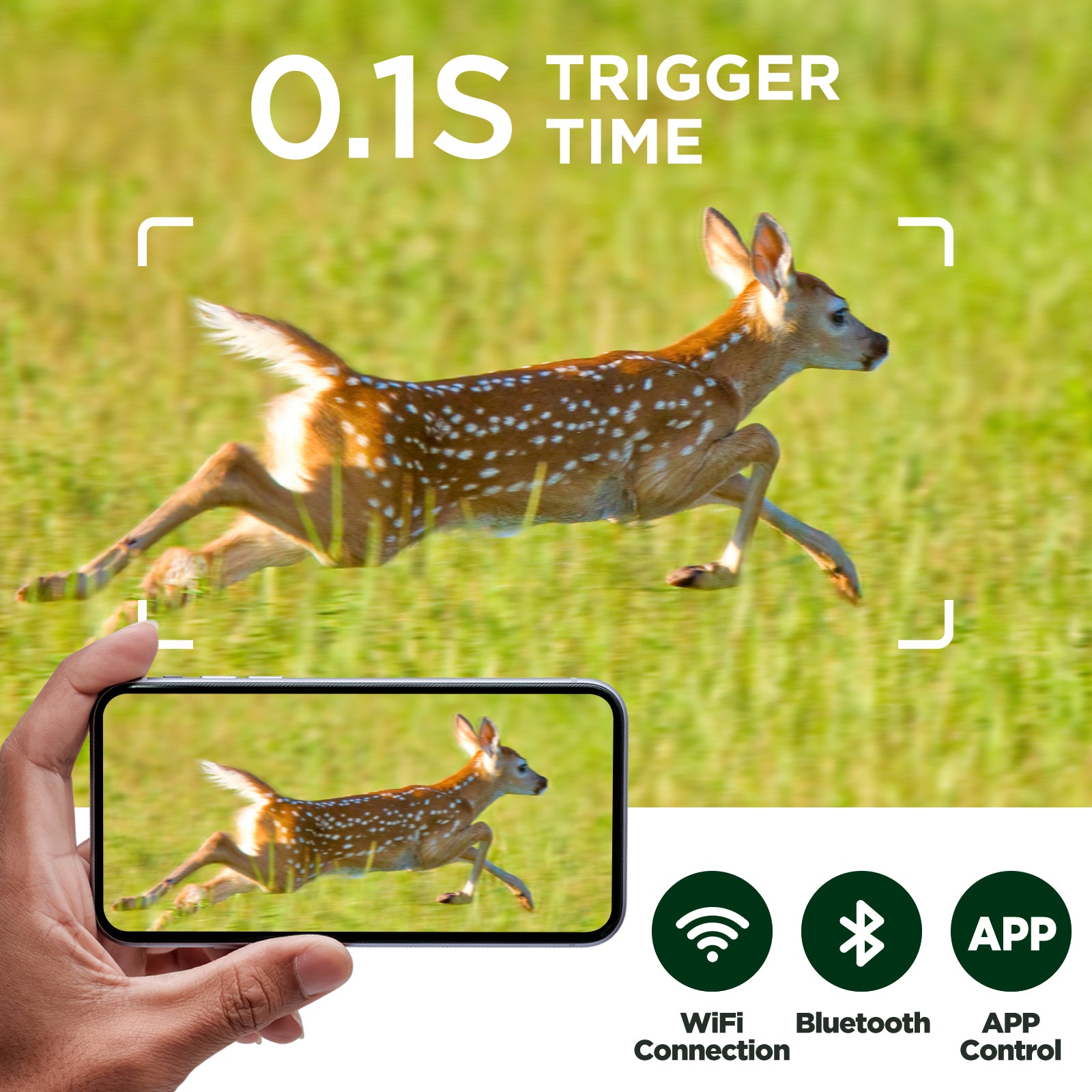 Catch Wildlife In Action With Campark TC22 4K Trail Camera WiFi Dual Catch Wildlife In Action With Campark TC22 4K Trail Camera WiFi Dual